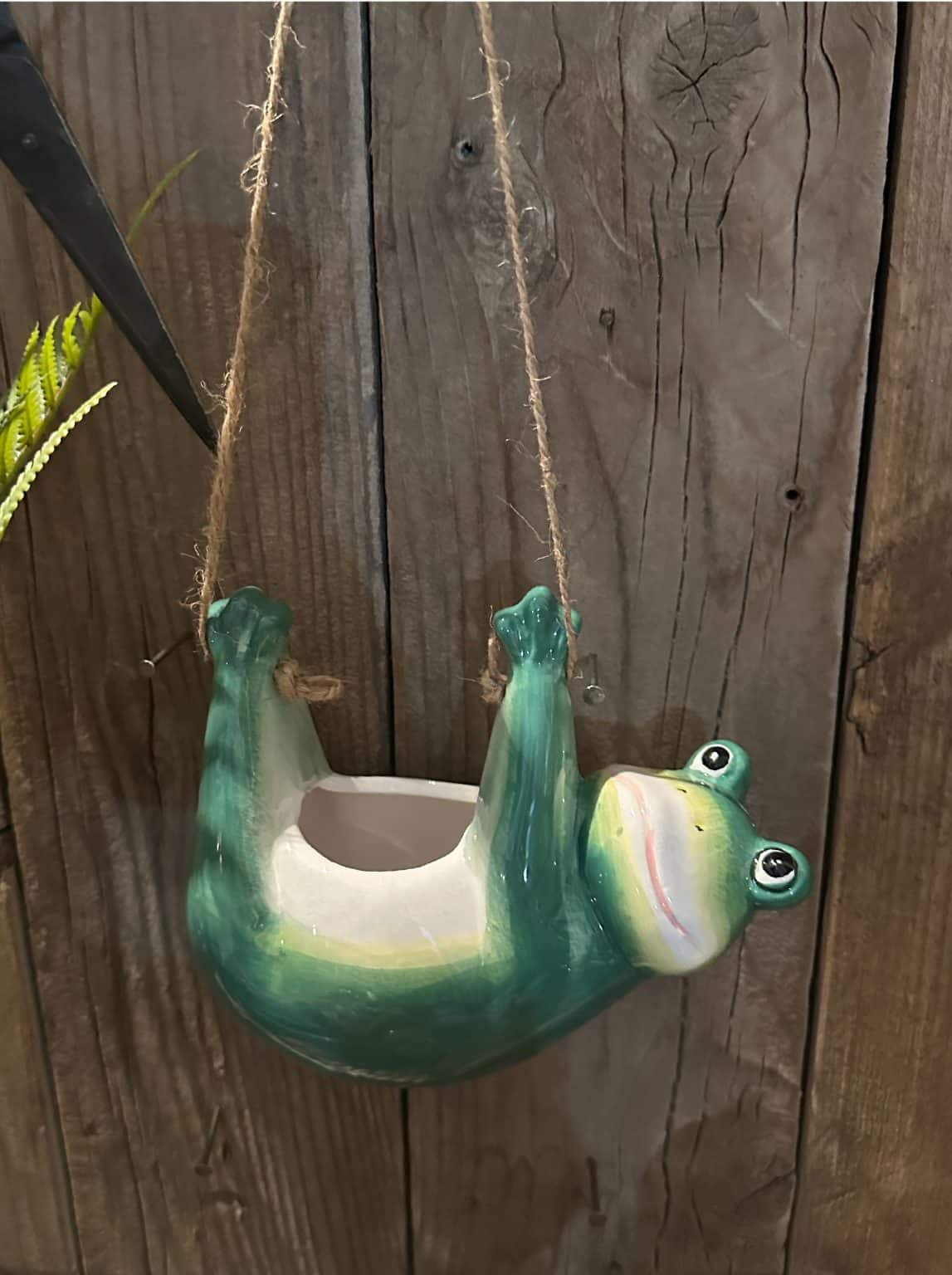 Hanging Ceramic Frog Planter - Be Made