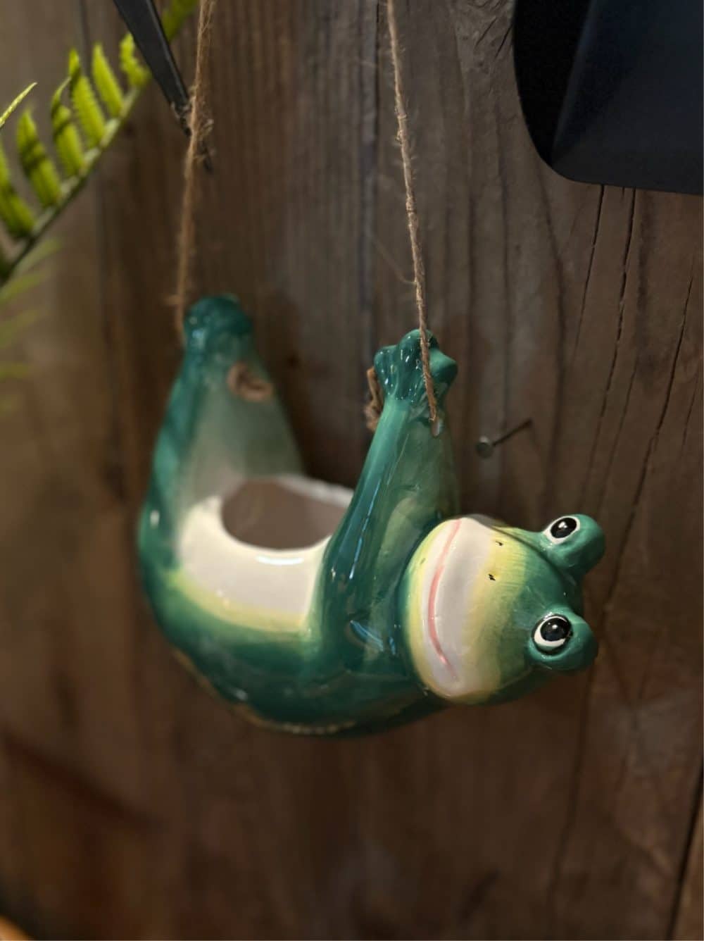 Hanging Ceramic Frog Planter - Be Made
