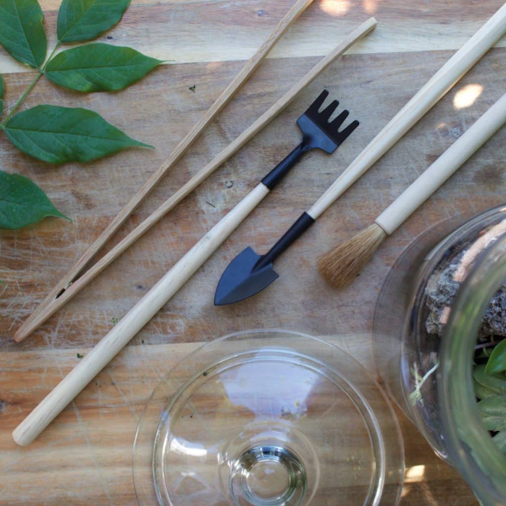 Terrarium Tool Set - Be Made